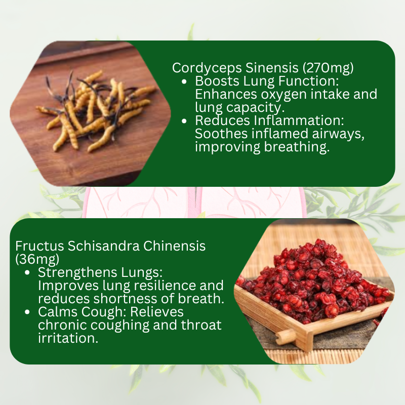 Timo Cordyceps Brefwell 50 capsules – timo®