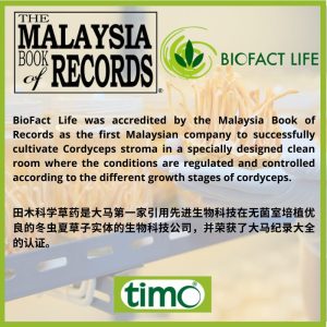 Timo Super Fiber 10 sachets – timo®