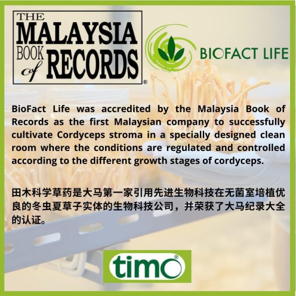 Timo Cordyceps Brefwell 50 capsules – timo®