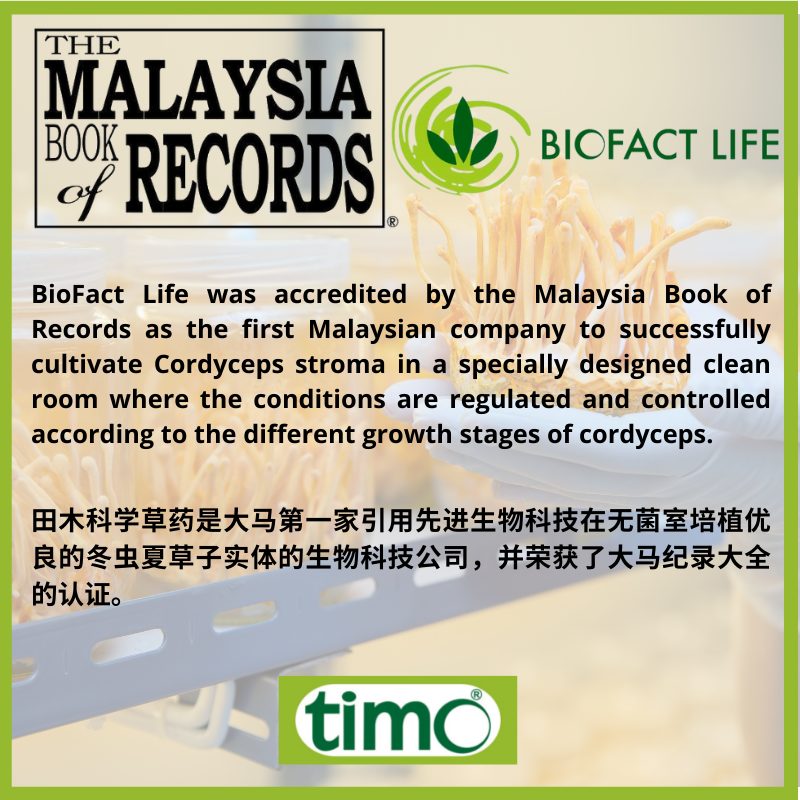 Timo Cordyceps Brefwell 50 capsules – timo®