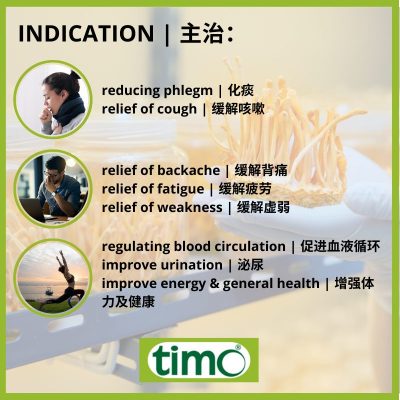 Timo Cordyceps King 50 capsules – timo®
