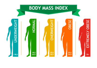 Body Mass Index (BMI) – timo®
